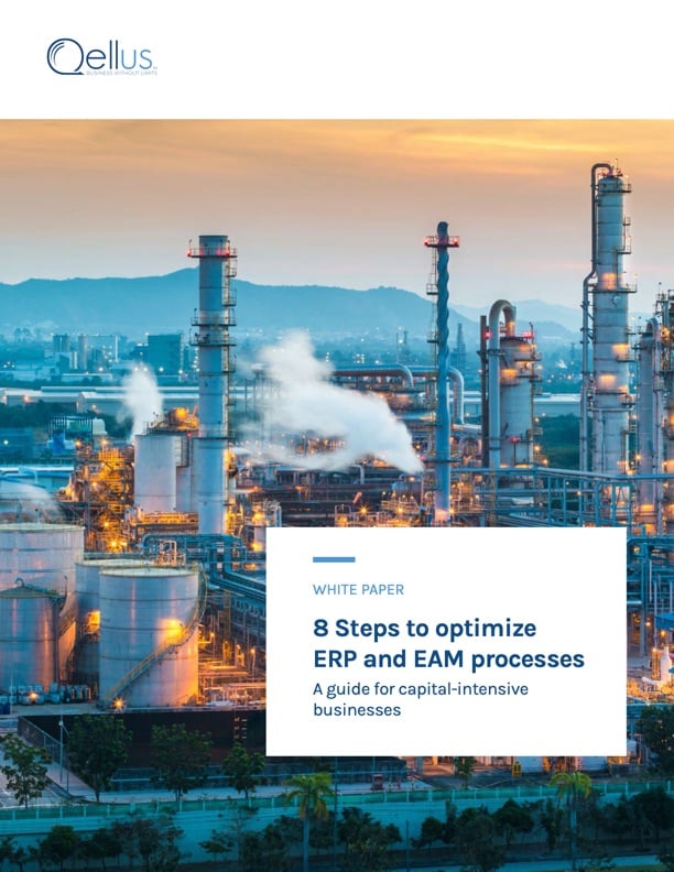 8 Steps to optimize ERP and EAM processes White Paper